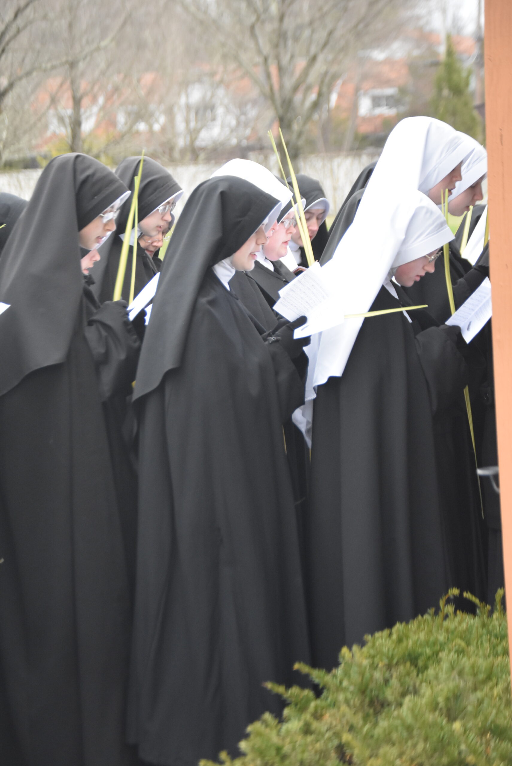 Holy Week – 2022 – Daughters of Mary